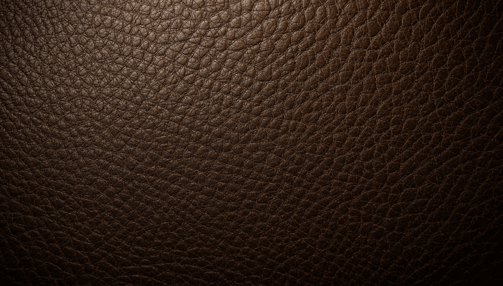 Why Steerhide Leather Is the Best Choice for Baseball and Softball ...